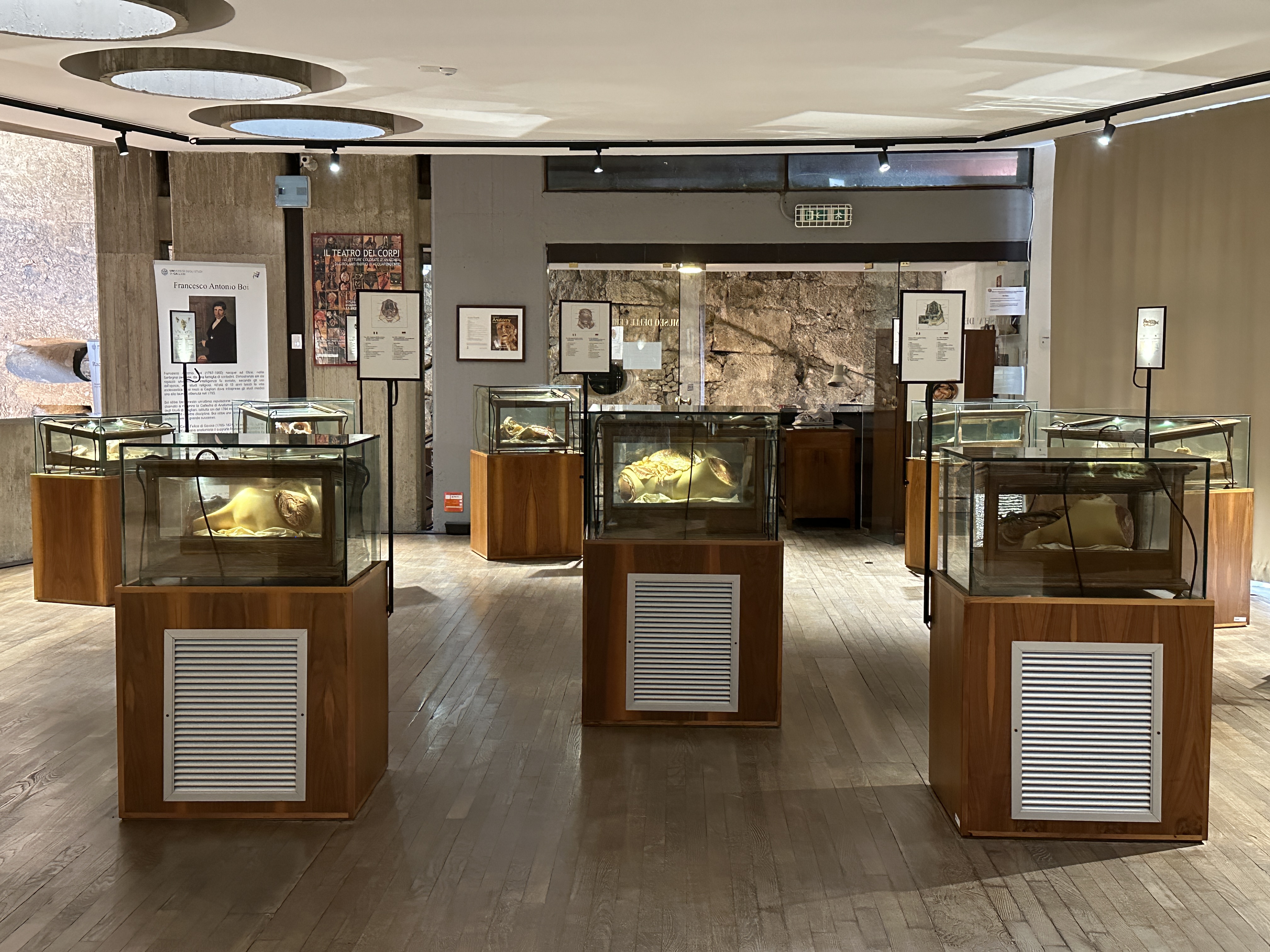 Collezione delle cere anatomiche "Clemente Susini" | Università degli ...